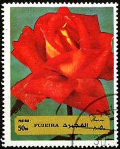 Stamp: Rose (Fujairah (Fujeira)(Roses) Mi:FU 1253A,Col:FU 1972.07.00-3