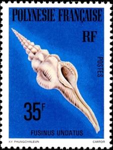 Stamp: Legrand's Spindle (Fusinus undatus) (French Polynesia(Shells) Yt ...