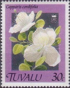 Stamp: Capparis cordifolia (Tuvalu(Flowers (1990)) Mi:TV 571,Sn:TV 550 ...