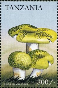 Stamp: Russula virescens (Tanzania) (Mushrooms (1996)) Mi:TZ 2521,Sn:TZ ...