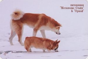 Pocket Calendar: Kennel "Ormai" & "Megapolys Style" - Akita Inu & Welsh ...