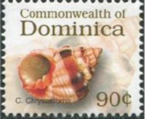 Stamp: Nutmeg Snail (Cancellaria chrysostoma) (Dominica(Shells) Mi:DM ...