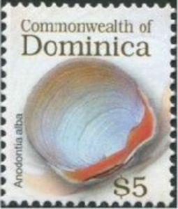 Stamp: Buttercup Lucine (Anodontia alba) (Dominica) (Shells) Mi:DM 3776 ...