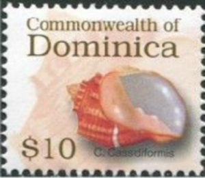 Stamp: Helmet Nutmeg (Cancellaria cassidiformis) (Dominica(Shells) Mi ...