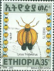 Stamp: Tailed Net-winged Beetle (Lycus trabeatus) (Ethiopia(Insects ...