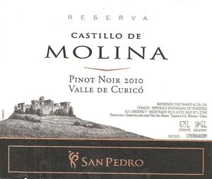 Drink Label: Castillo de Molina (Viña San Pedro Tarapacá S.A., ChileCol ...