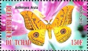Stamp: Butterflies Antheraea Arata (Chad: Illegal Stamps(Butterflies ...
