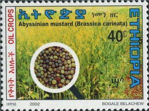 Stamp: Abyssinian mustard (Ethiopia) (Oil Crops) Mi:ET 1776,Sn:ET 1640 ...