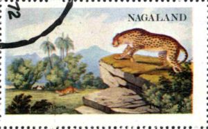 Stamp: Cheetah (Acinonyx jubatus) (India, Nagaland: Cinderella Stamps ...