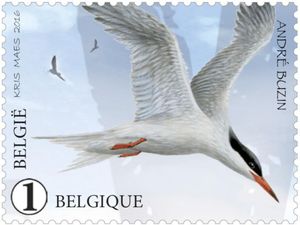 Stamp: Common Tern (Sterna hirundo) (Belgium(Zwin Nature Park) Mi:BE ...