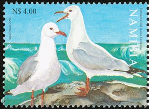 Stamp: Hartlaub's Gull (Larus hartlaubii) (Namibia(Gulls of Namibia) Mi ...