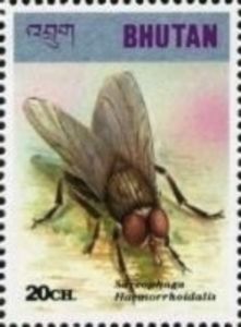 Stamp: Red-tailed Flesh Fly (Sarcophaga haemorrhoidalis) (Bhutan ...