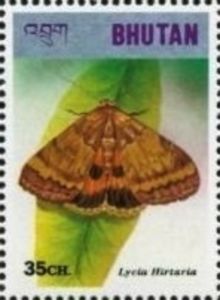 Stamp: Red Underwing Moth (Catocala nupta) (Bhutan(Insects and Spiders ...