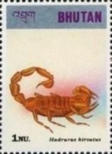 Stamp: Giant Hairy Scorpion (Hadrurus hirsutus) (Bhutan(Insects and ...