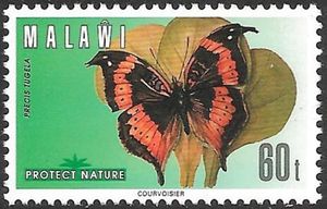 Stamp: Eared Commodore (Precis tugela) (Malawi(Butterflies (1996)) Mi ...