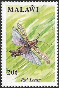 Timbre: Red Locust (Nomadacris septemfasciata) (Malawi(Insects) Mi:MW ...