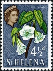 Stamp: Red-wood flower (Saint Helena) (Definitives 1961-65) Mi:SH 150 ...