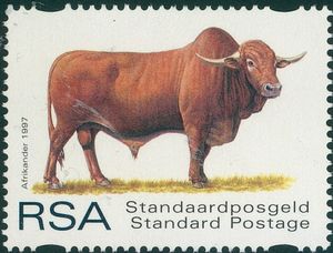 Stamp: Afrikander (Bos primigenius indicus) (South Africa(African ...