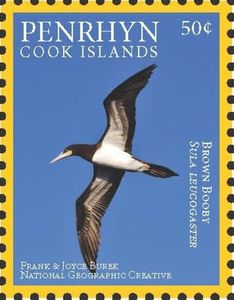 Stamp: Brown Bobby (Sula leucogaster) (Penrhyn(Pacific Marine Life) Mi ...