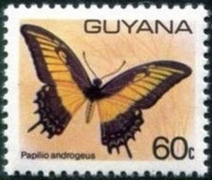 Stamp: Queen Swallowtail (Papilio androgeus) (Guyana(Butterflies (1980 ...