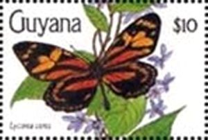 Stamp: Tropical Milkweed Butterfly (Lycorea ceres) (Guyana(Butterflies ...