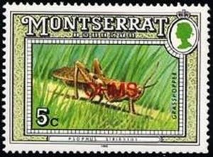 Stamp: Grasshopper (Montserrat(Insects, overprinted OHMS) Mi:MS D96,Sn ...