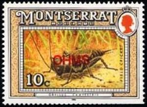 Stamp: Field crickt (Montserrat(Insects, overprinted OHMS) Mi:MS D97,Sn ...
