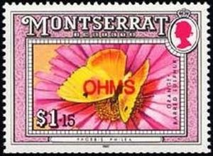Stamp: Orange-barred sulphur (Montserrat(Insects, overprinted OHMS) Mi ...