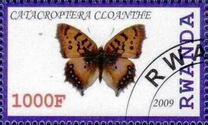 Stamp: Catacroptera cloanthe (Rwanda: Illegal Stamps(Butterflies and ...