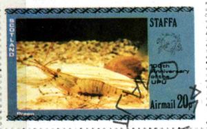 Stamp: Prawn (Scotland, Staffa: Cinderella Stamps(Staffa) Col:GB-SF ...