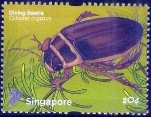 Stamp: Diving beetle (Cybister rugosus) Imprint 2011A (Singapore(Pond ...