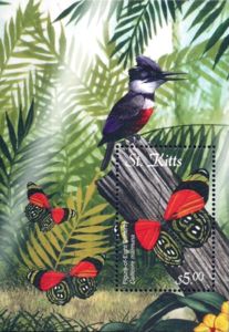 Stamp: Figure-of-eight Butterfly (Callicore maimuna) (Saint Kitts ...