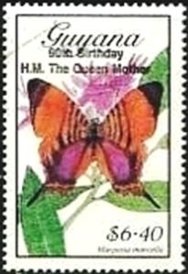Timbre: Pansy Daggerwing (Marpesia marcella) (Guyana) (90th Anniversary ...