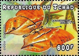 Stamp: African Leaf Butterfly (Kallima rumia) - Upper Side (Chad ...