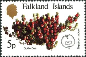 Stamp: Diddle Dee (Falkland Islands(Local Fruit) Mi:FK 382,Sn:FK 379,Yt ...