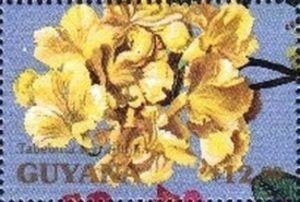 Stamp: Tabebuia serratifolia (Guyana) (Flowering Trees) Mi:GY 3400,Sn ...
