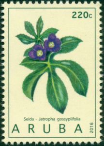Stamp: Seida (Jathropa gossypiifolia) (Aruba(Medicinal Plants) Mi:AW ...