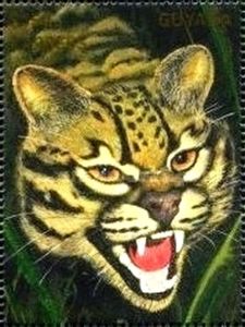Stamp: Ocelot (Leopardus pardalis) (Guyana(Endangered Species) Mi:GY 3488