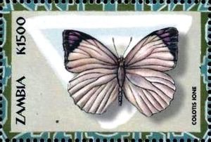 Stamp: Colotis ione (Zambia(Butterflies (2000)) Mi:ZM 1127,Sn:ZM 865a ...