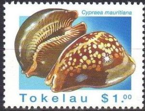 Stamp: Chocolate Cowry (Cypraea mauritiana) (Tokelau(Shells) Mi:TK 239 ...