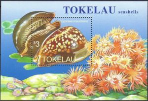 Stamp: Chocolate Cowry (Cypraea mauritana) (Tokelau(Shells) Mi:TK BL9 ...