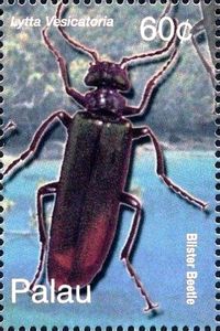 Stamp: Blister beetle (Palau(Insects (2003)) Mi:PW 2180,Sn:PW 719c,Yt ...