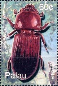 Stamp: Bess beetle (Palau(Insects (2003)) Mi:PW 2181,Sn:PW 719d,Yt:PW ...