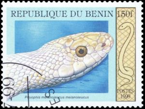 Stamp: Pine Snake (Pituophis melanoleucus) (Benin(Snakes 1999) Mi:BJ ...