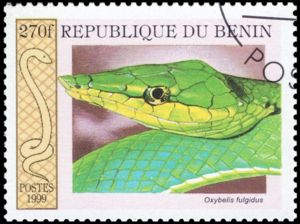 Stamp: Green Vine Snake (Oxybelis fulgidus) (Benin(Snakes 1999) Mi:BJ ...