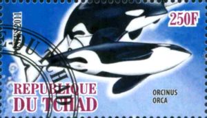 Stamp: Killer Whale (Orcinus orca) (Chad: Illegal Stamps(Dolphins (2011 ...