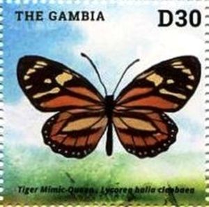 Stamp: Tiger Mimic Queen (Lycorea halia cleobaea) (Gambia(Butterflies ...