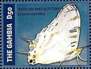 Stamp: African Map Butterfly (Cyrestis camillus) (Gambia) (Butterflies ...