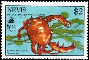 Stamp: Sargassum crab (Portunus sayi) (Nevis(500th Anniversary of ...