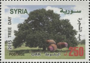 Stamp: Tree Day - Oak (SyriaMi:SY 2471,Sn:SY 1750,Yt:SY 1560,WAD:SY020.15